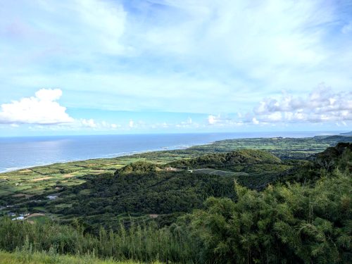 有機黒糖を国内生産へ！ 「種子島事業所」設立への軌跡 ～事業所設立への道のりと、サトウキビの新たな可能性～ - 株式会社リスペクト